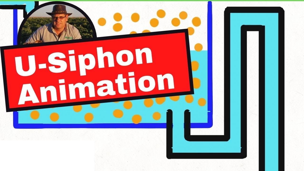 U Siphon animation - Hydroponics and Aquaponics - YouTube