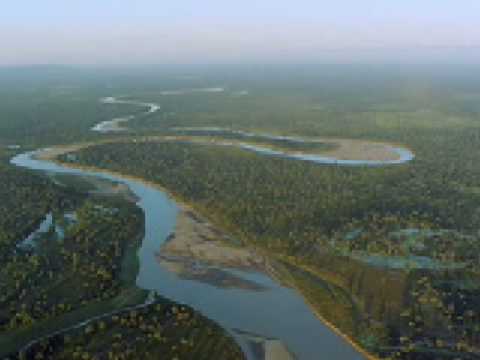 Animal Face Off Hippo vs Bull Sha - YouTube