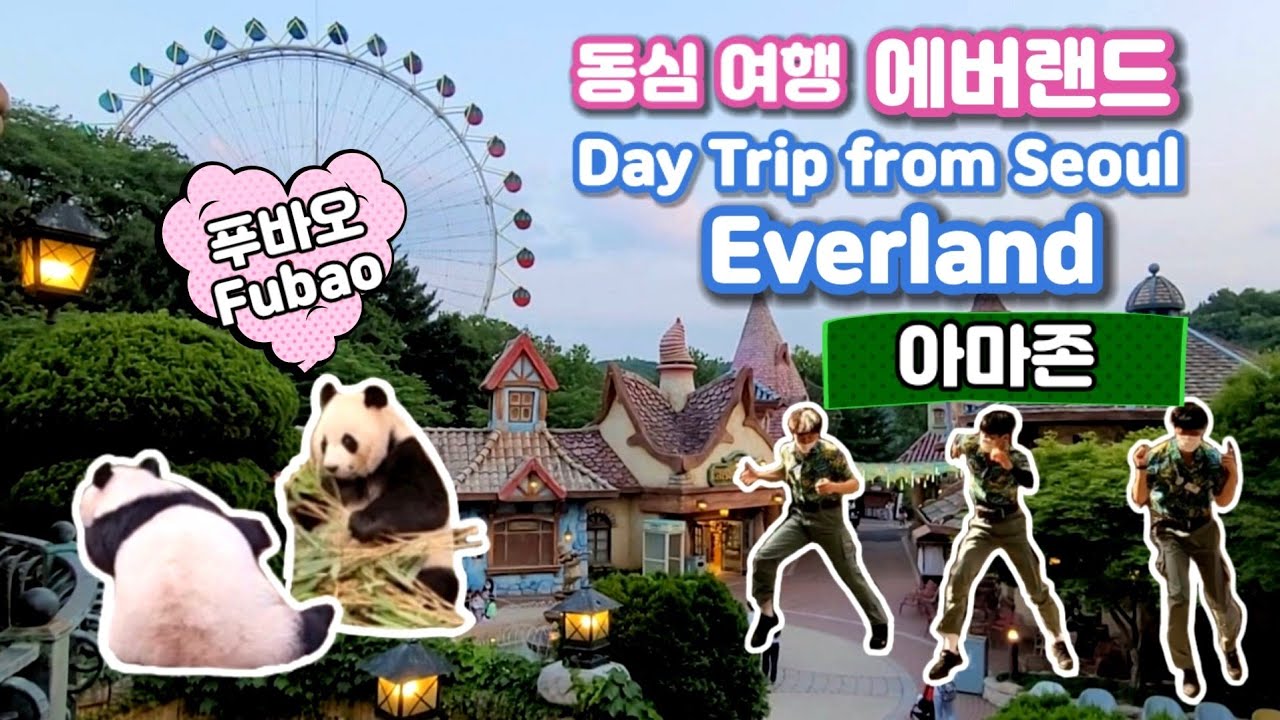🎈에버랜드 🎈Everland in Korea 🎈아마존 익스프레스🎈Amazon Express 🎈국내여행 🎈Panda 🎈푸바오 🎈 ...