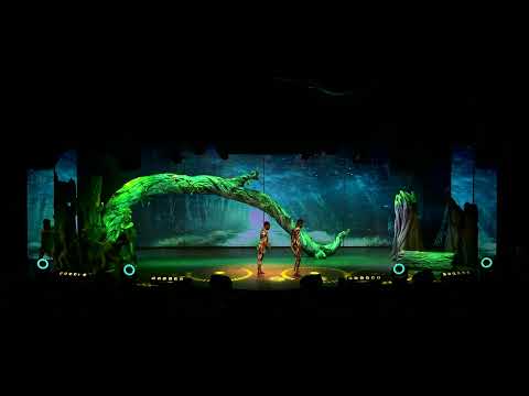@hansrish004 Duo plastic Boys Present  Contortion Act 2022 American season Msc Seashore