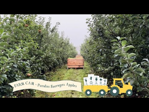 Visit to the Fourayes Farm - YouTube