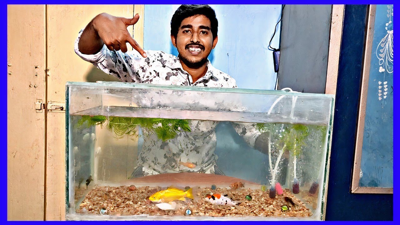 My Simple Fish Tank Setup!🐠😍 - YouTube