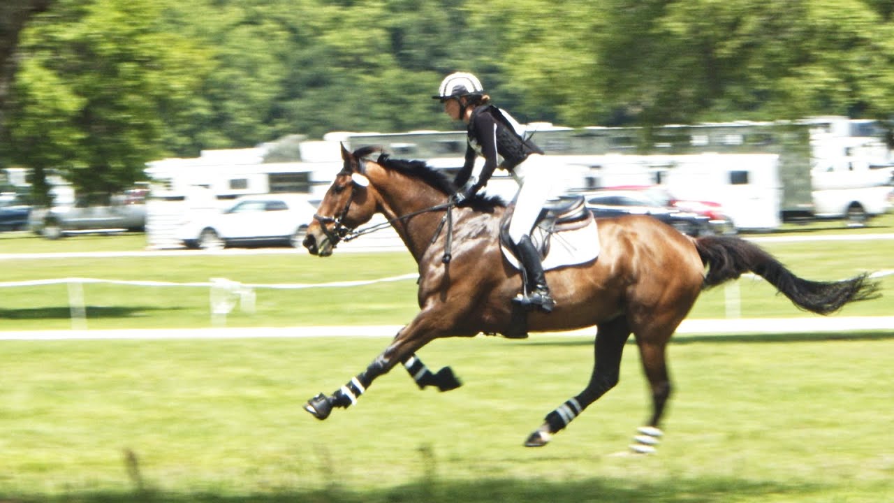 Emery Reagan "Wallace Station" Ocala International Horse Trials (PR) 4 ...
