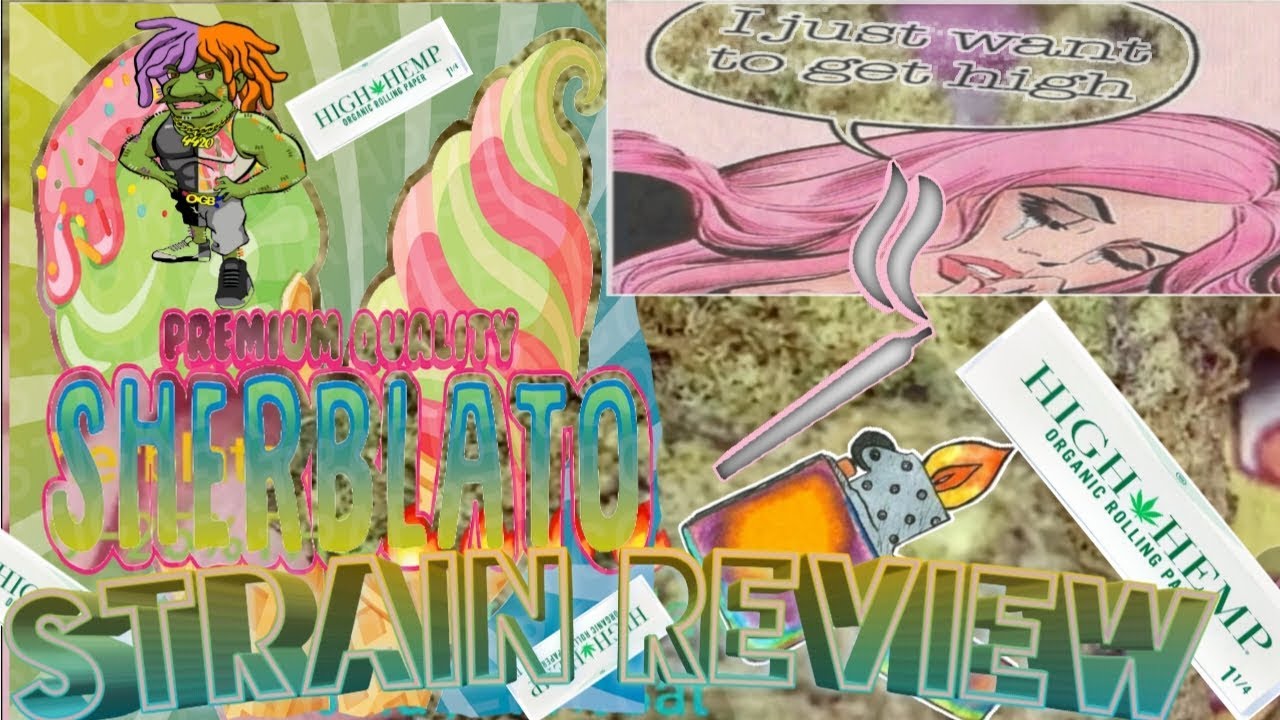 Sherblato Strain Review 4k OGB 4420 - YouTube