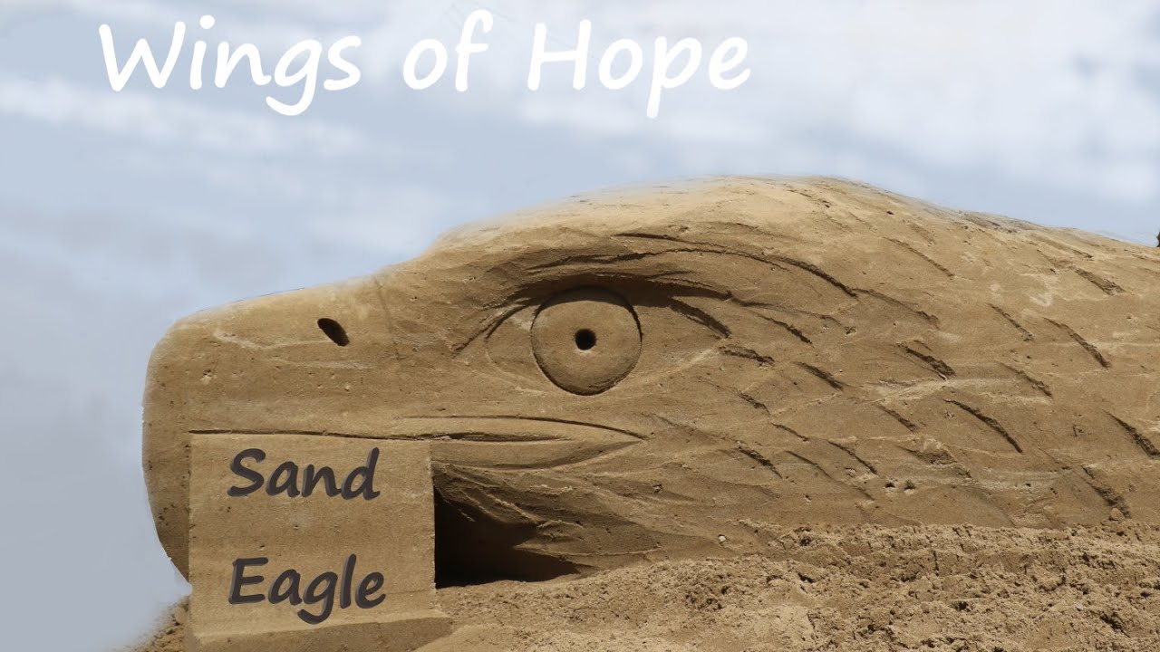 Sand Eagle : Wings of Hope - YouTube