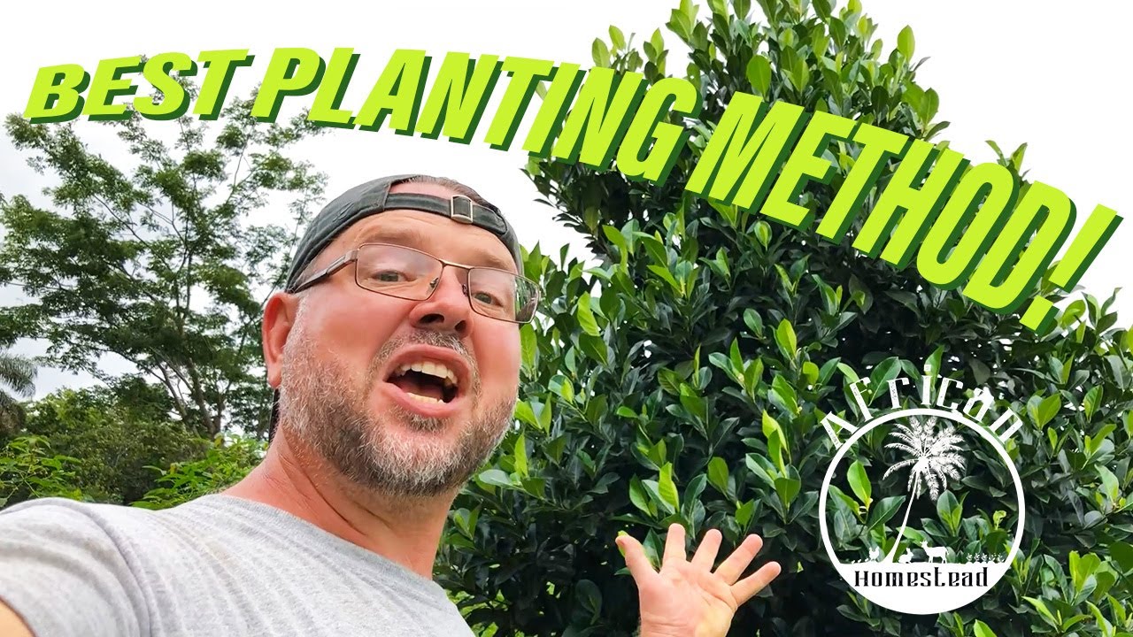 Best Tree Planting Method - 8 Ingredient Permaculture Food Forest ...