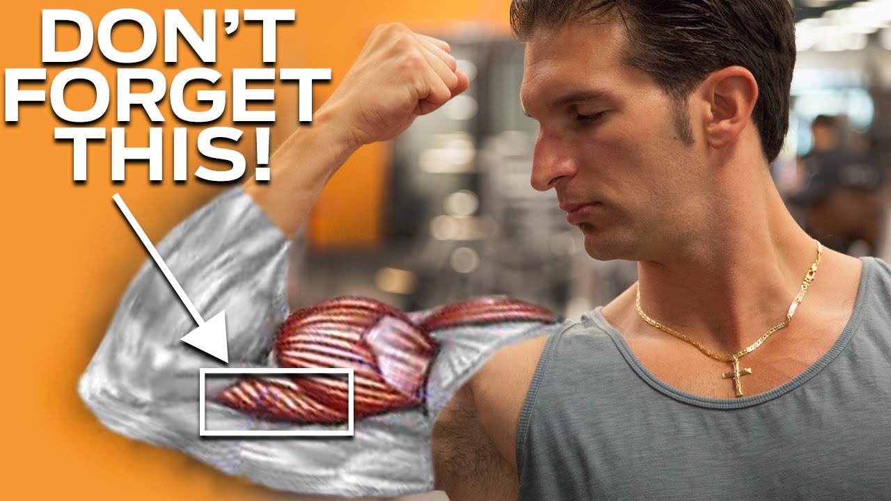 The Ultimate Workout To Get Bigger Arms 8 Advanced Arm Excercises To