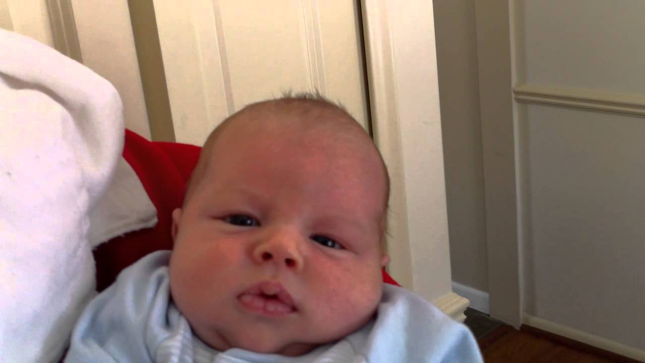 will-at-4-weeks-old-1-1-youtube