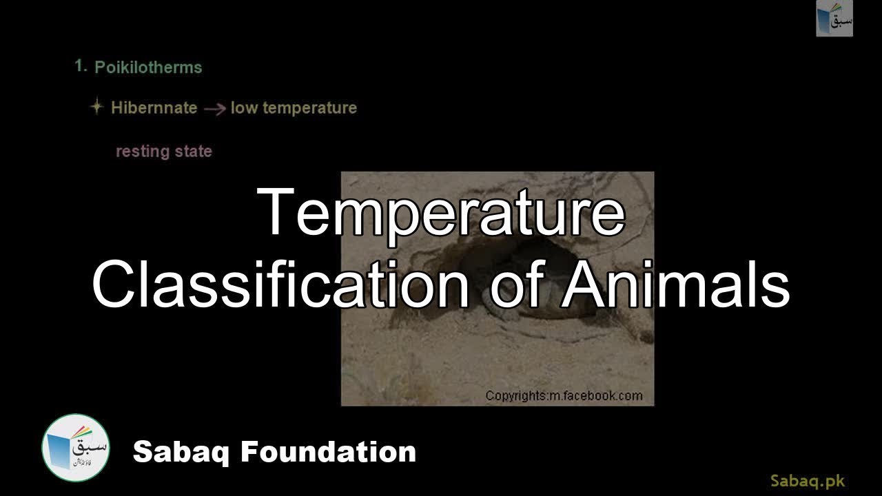 Classification of Animals on the Basis of Their Body Temperature ...
