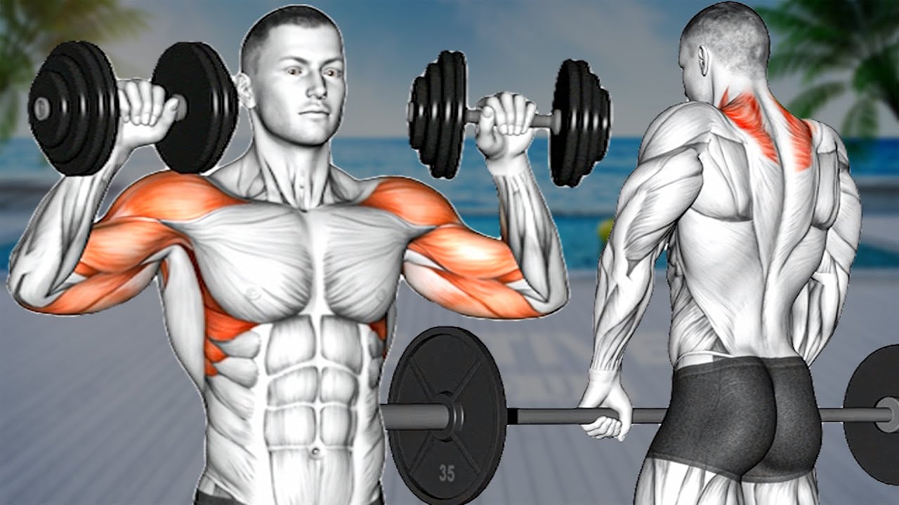 Quick 4-Minute Shoulder and Traps Workout for Busy People - YouTube