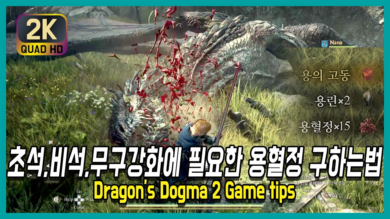 [PC] 드도2 용혈정 구하는 법, 용 쉽게 잡는 법 / How to get a dragon blood tablet, how ...