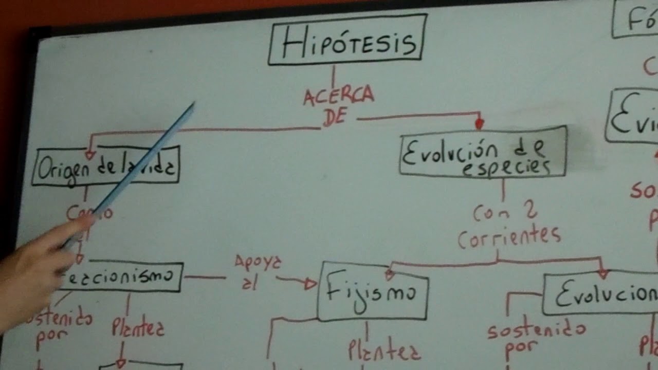 red conceptual Creacionismo fijismo evolucionismo - YouTube