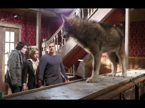 Part 6,Best Movie2021,Wolf Town - YouTube
