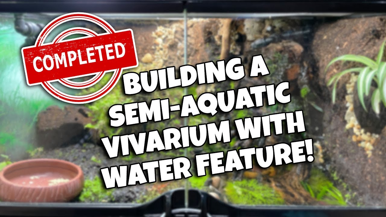 Building a Semi-Aquatic Vivarium with a Water Feature! - PT 2 - YouTube