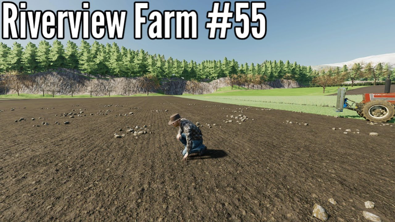 Buying A New Field And Readying It For Wheat | Farming Simulator 22 ...