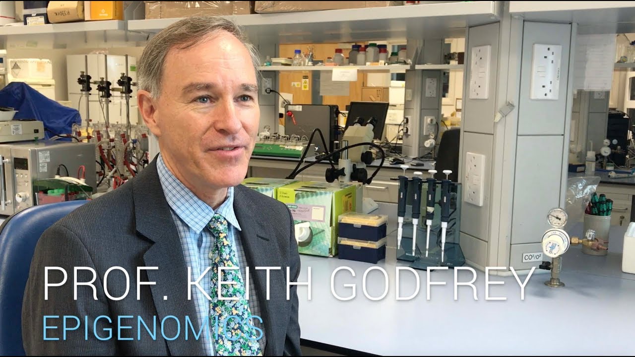 Research at the IDS: Professor Keith Godfrey - Epigenomics - YouTube