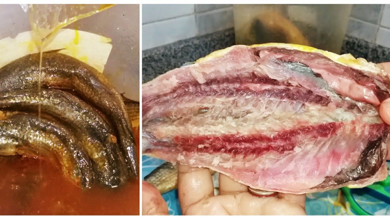 Delicious salted fish in the ancient Egyptian way, a 7,000-year-old ...