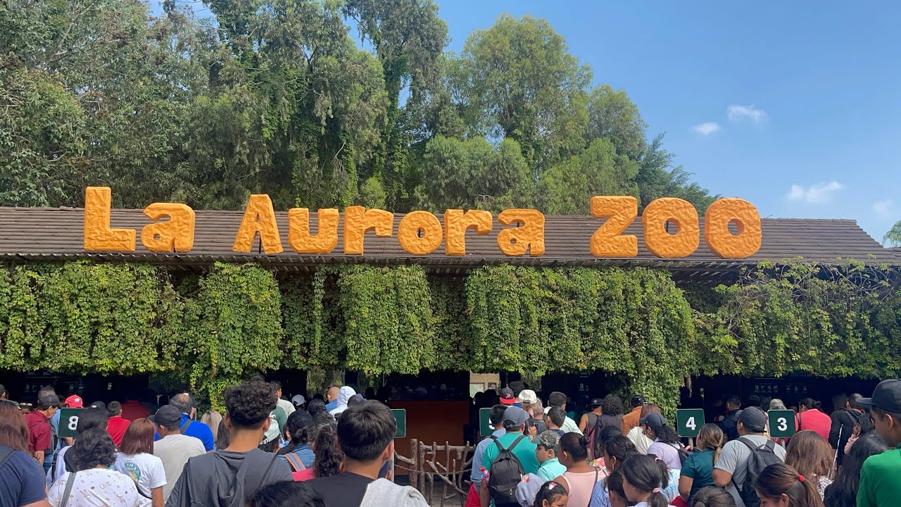 Visitando el zoológico la Aurora en Guatemala 🇬🇹 (parte número 1) - YouTube