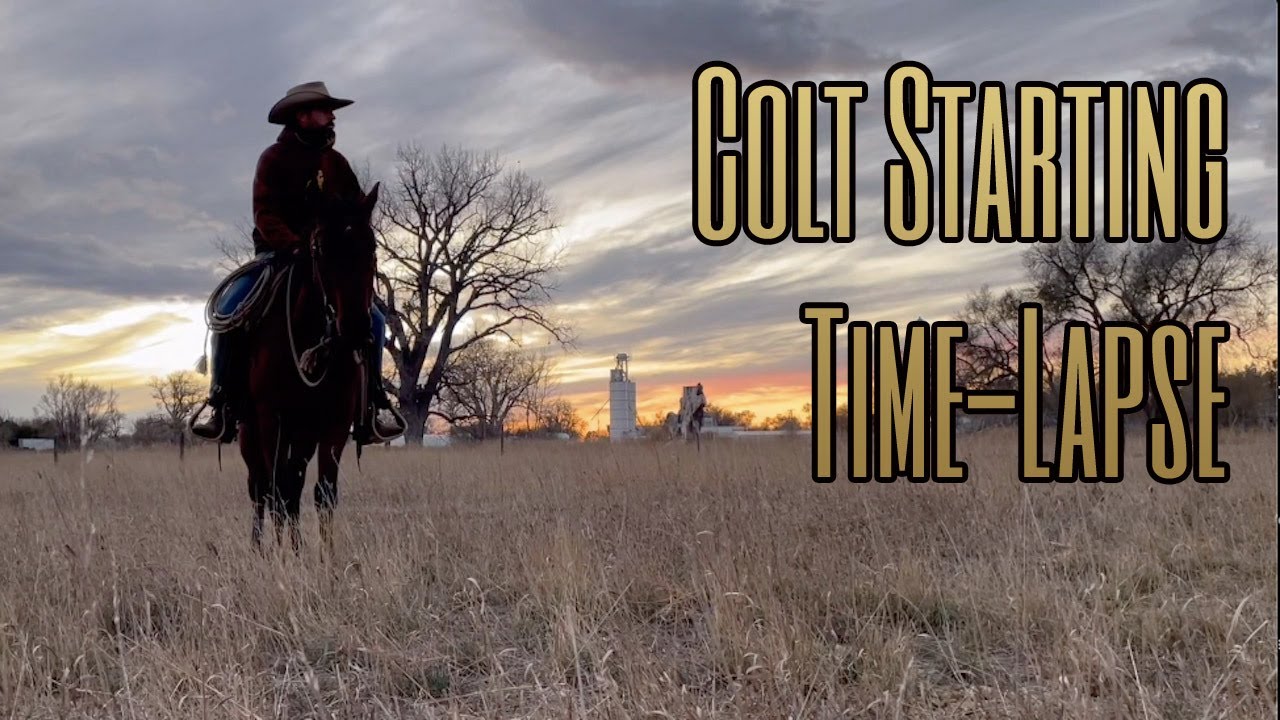 30-Day Colt Starting Time-Lapse - YouTube