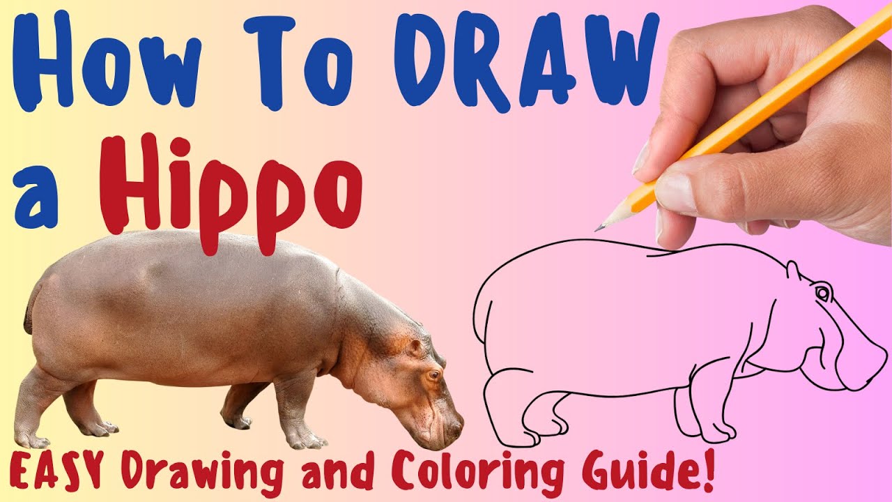 How To Draw A Hippo - Fun & Easy Step-By-Step Drawing and Coloring ...