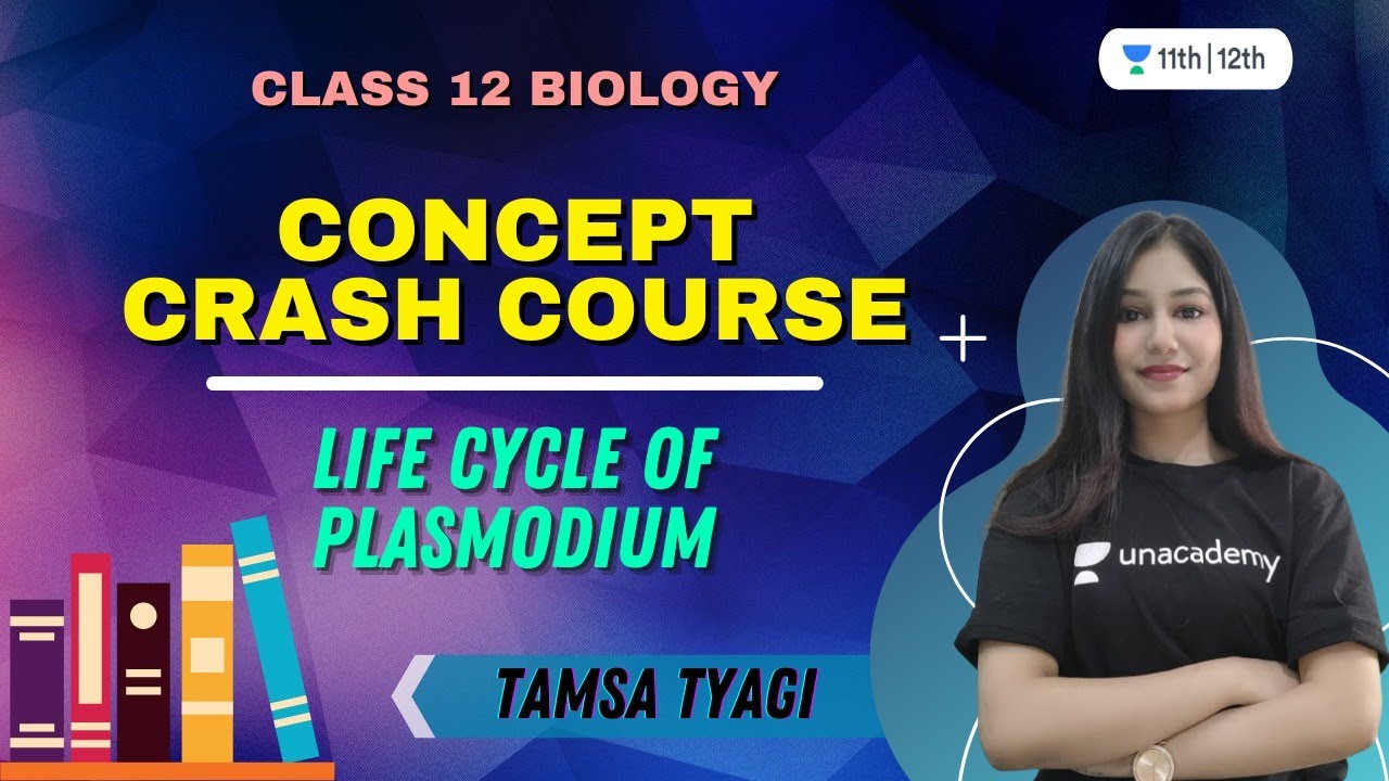 Concept Crash Course | Life Cycle of Plasmodium | Class 12 Biology ...