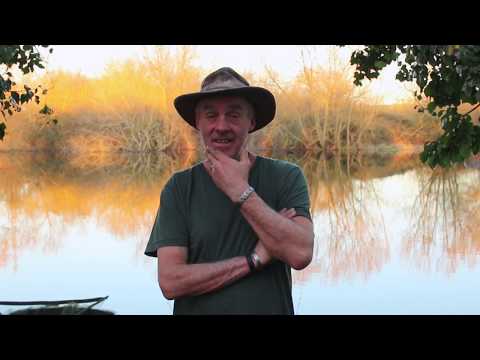 Dave Lane Carp blog - Laney builds a swim back on the Big Lake