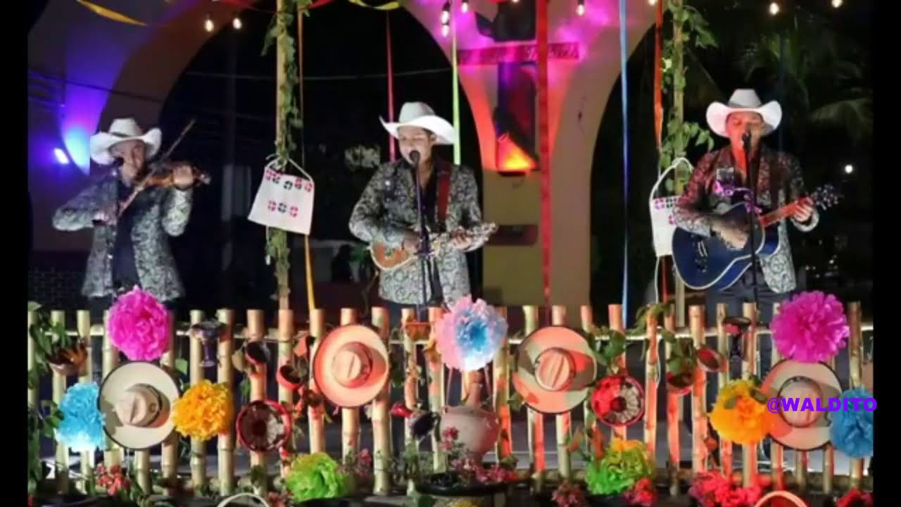 Trio Cenzontle Huasteco en la huapangueada Tamalin virtual 2020 - YouTube