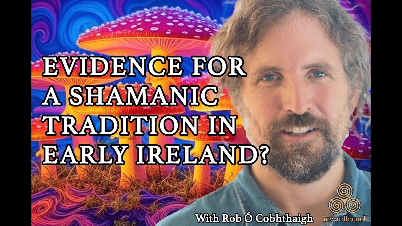 Imbas Forosnai: Evidence for a Shamanic Tradition in Early Ireland ...