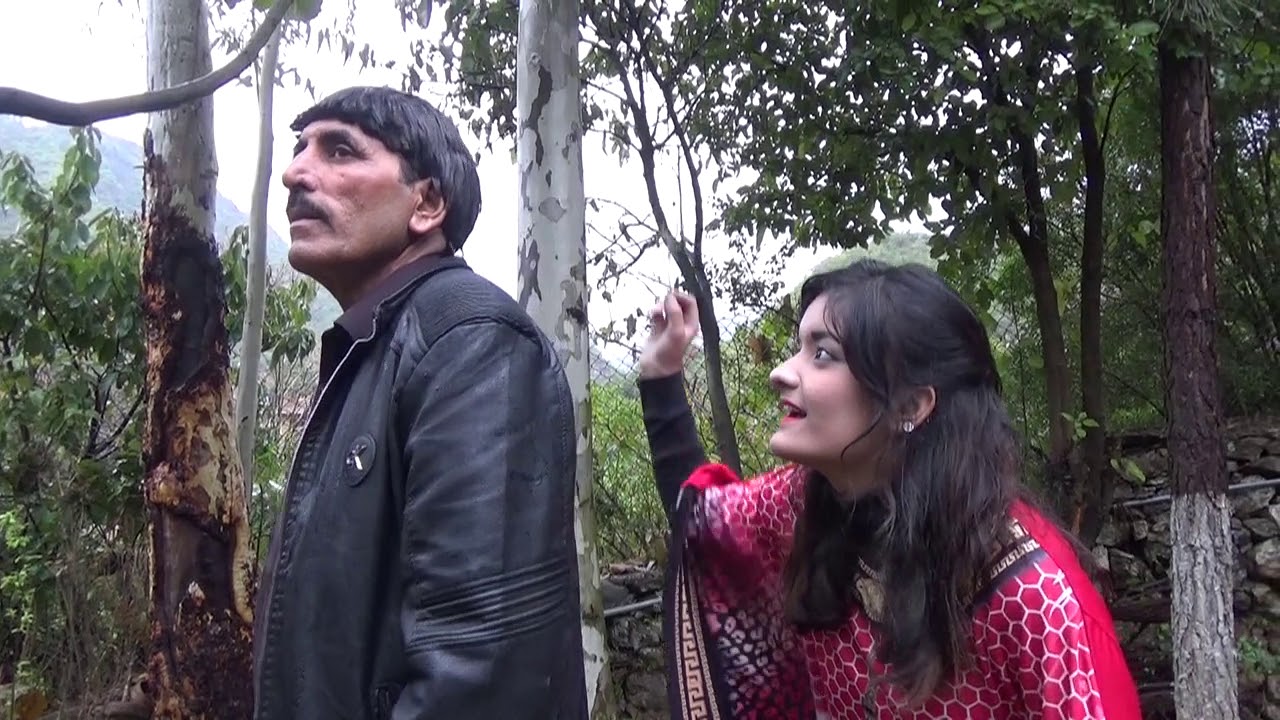 Hightigh of song || new song || highlight songs - YouTube