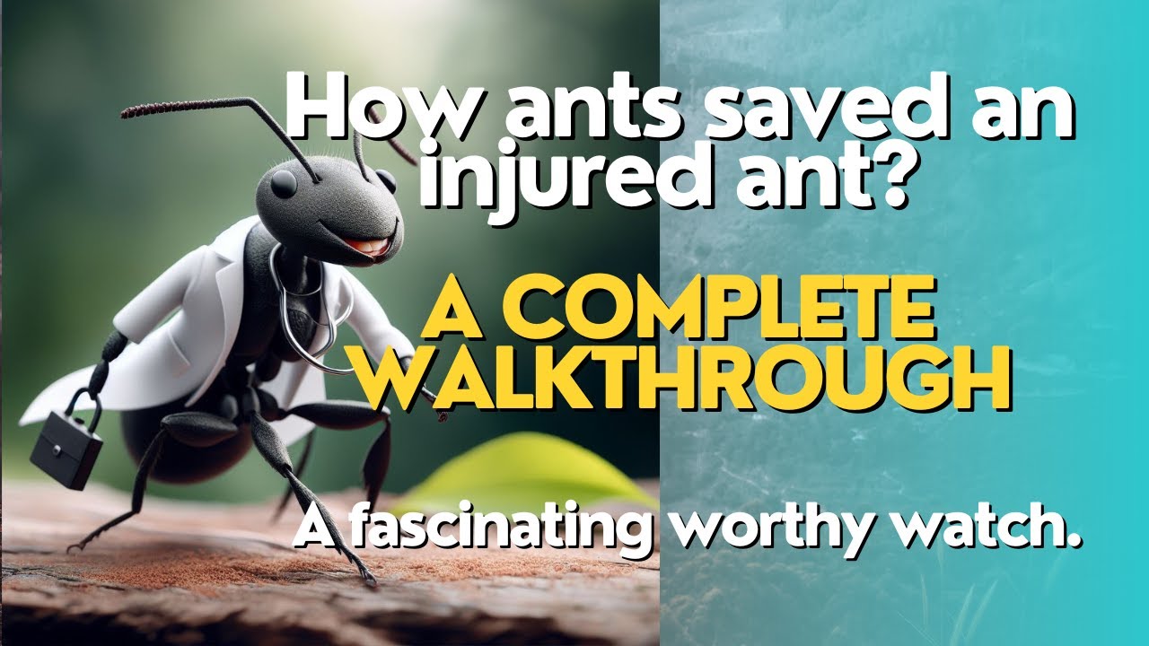 How ants saved an injured ant? | A must watch real-life video. - YouTube