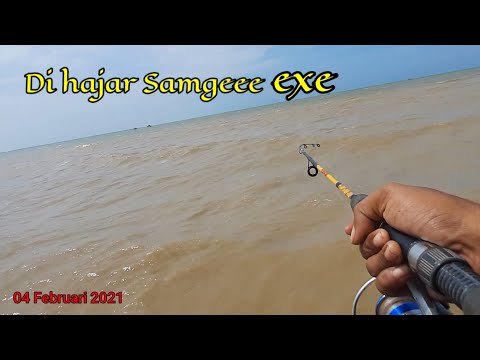 Pesta Strike baby Samge di pulo cangkir exe | Ep-14
