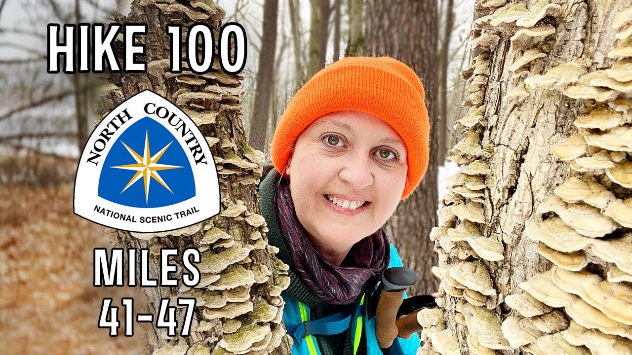 60 miles to go | 2022 Hike 100 NCT Challenge | North Country Trail ...