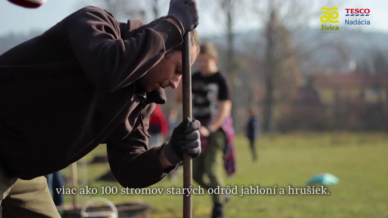 Projekt školských ovocných sadov - SadOVO - YouTube