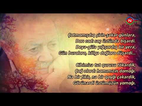 Misraların işığında - Vaqif Məmmədov