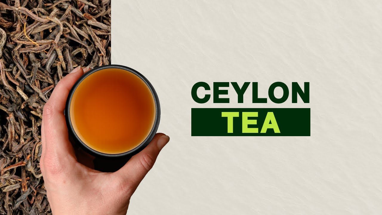 The Art of Ceylon Tea 🇱🇰 Exploring Sri Lanka's Tea Country and Learning History of Ceylon Tea ...