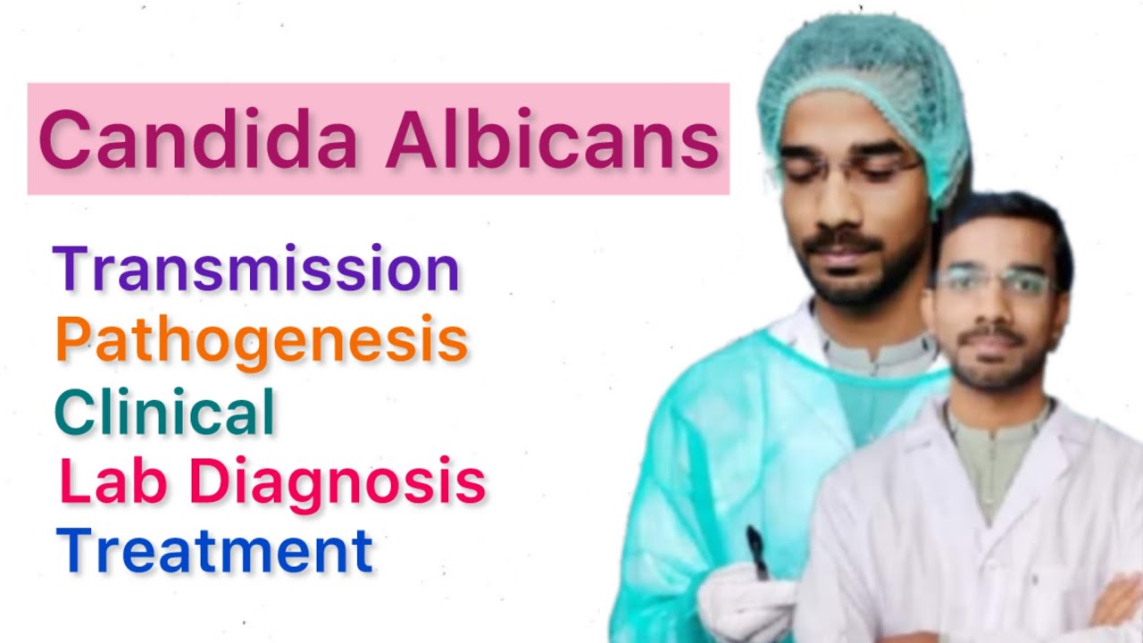 Candida Albicans | Transmission | Pathogenesis | Clinical | Lab ...