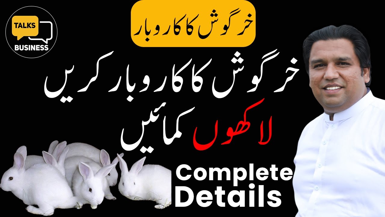 How to Start a Rabbit Farming Business in Pakistan - Ultimate Guideline ...