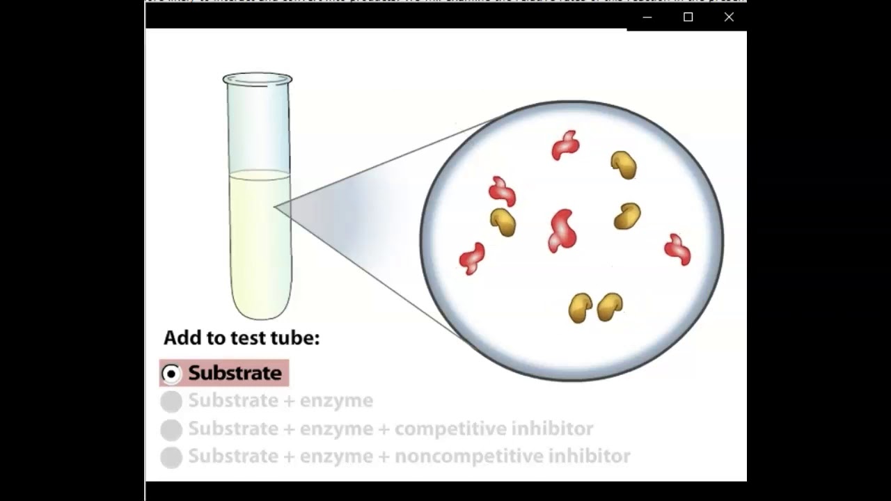 Enzyme animation - YouTube