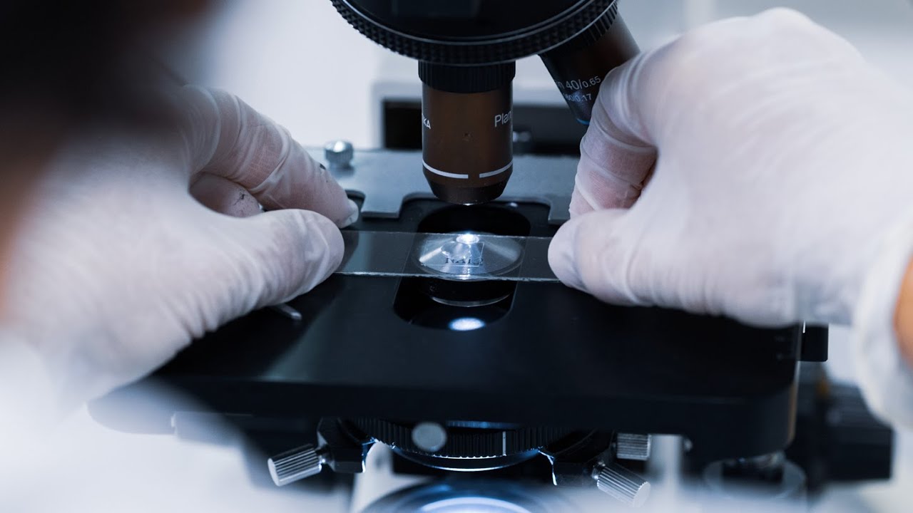 SPECIALITIES - INSTRUMENTAL ANALYTICAL LABORATORY - YouTube