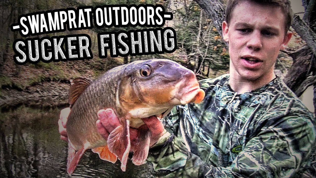 Sucker Fishing | S1E3 | Swamprat Outdoors - YouTube