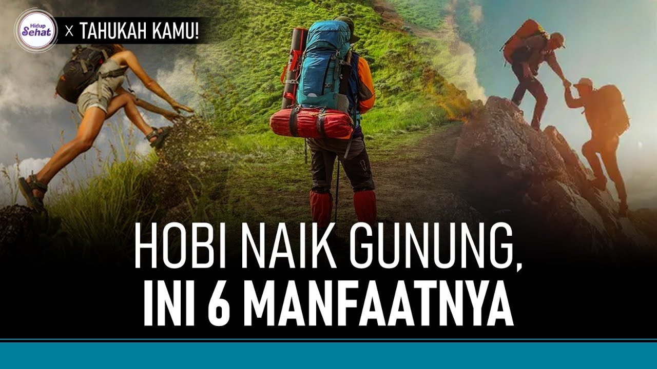 6 Manfaat Naik Gunung untuk Kesehatan Fisik dan Mental | Hidup Sehat ...