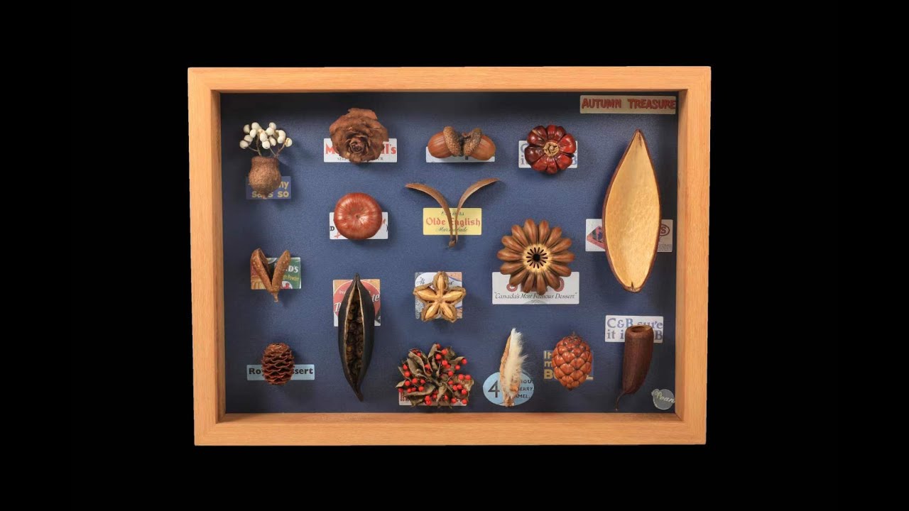 DIY Dried Seeds Decor Painting @diyhandmadethings @diyhomedecors ...