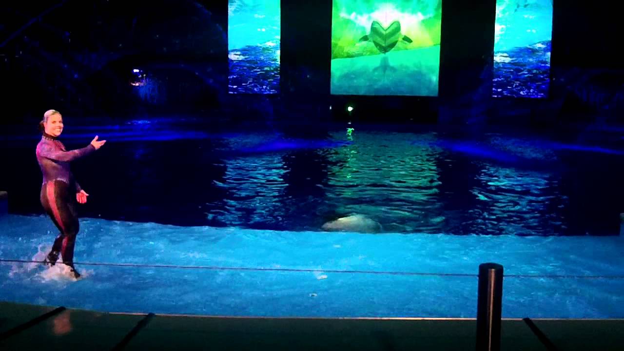 Shamu Rocks - SeaWorld Orlando 16th October 2011 Full Show In HD - YouTube