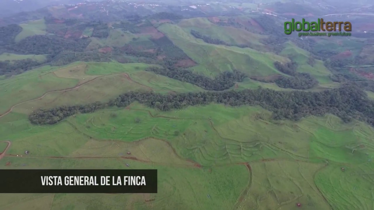 Finca Global Terra - YouTube