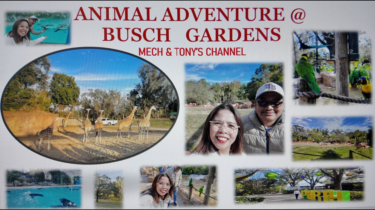 BUSCH GARDENS ANIMAL ADVENTURE - YouTube