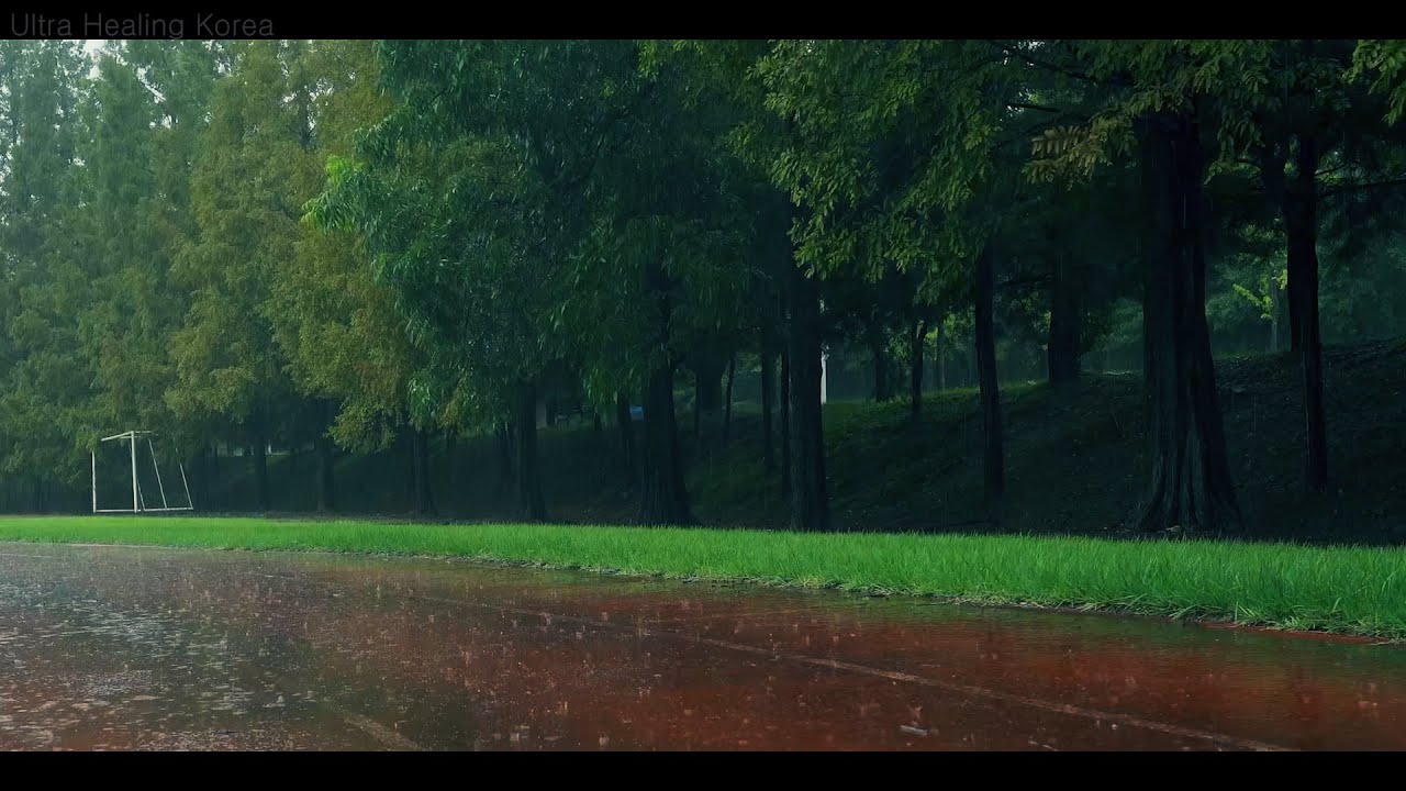 The refreshing Rain sounds falling - cures insomnia and provides deep ...