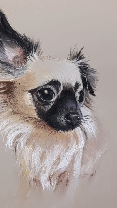 Кошки или собаки? Кто вам больше нравится? #30daychallenge #челлендж # ...