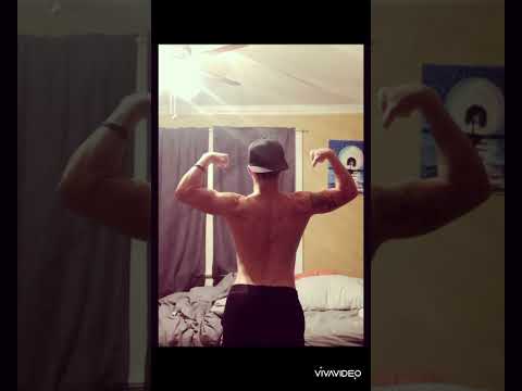 Scrappy muscle never fold