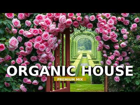 1 Hour Melodic House Music for Midnight Thoughts