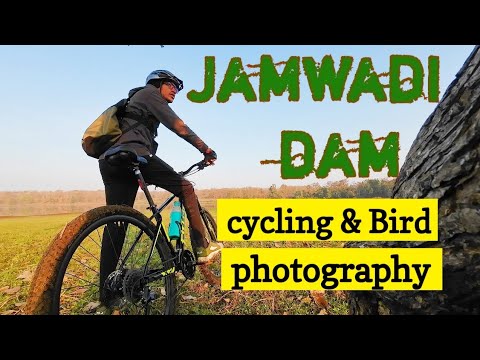 Cycling & Bird photography - YouTube